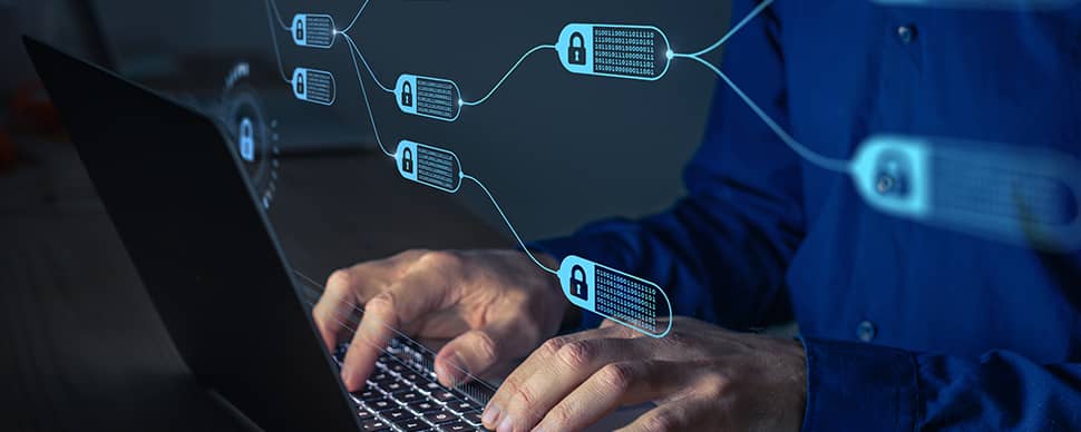 Data Protection Officer (DPO) - Job Description